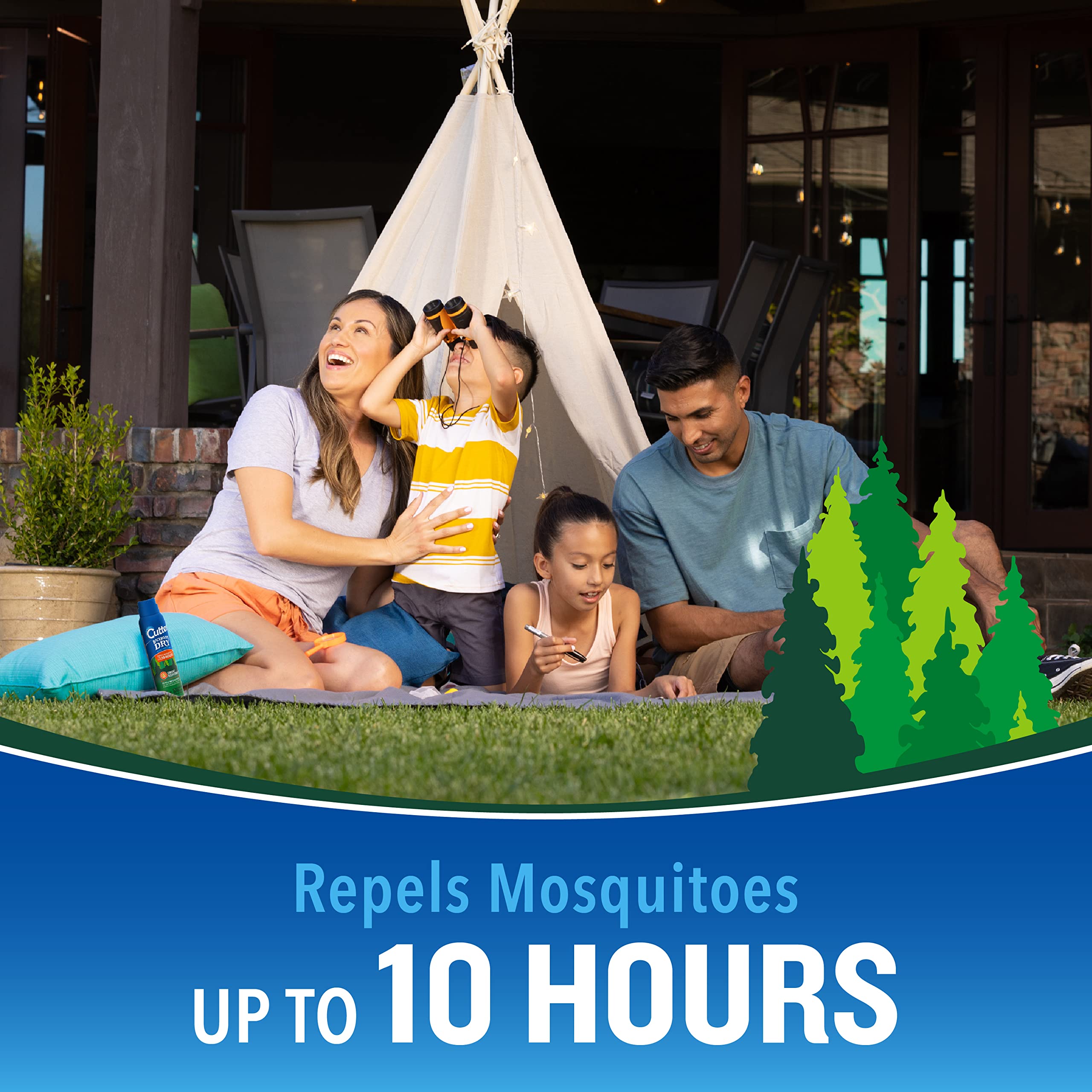 Cutter Backwoods Dry Insect Repellent, Mosquito Repellent, 25% DEET, Sweat Resistent, 4 Ounce (Aerosol Spray) (Pack of 2)