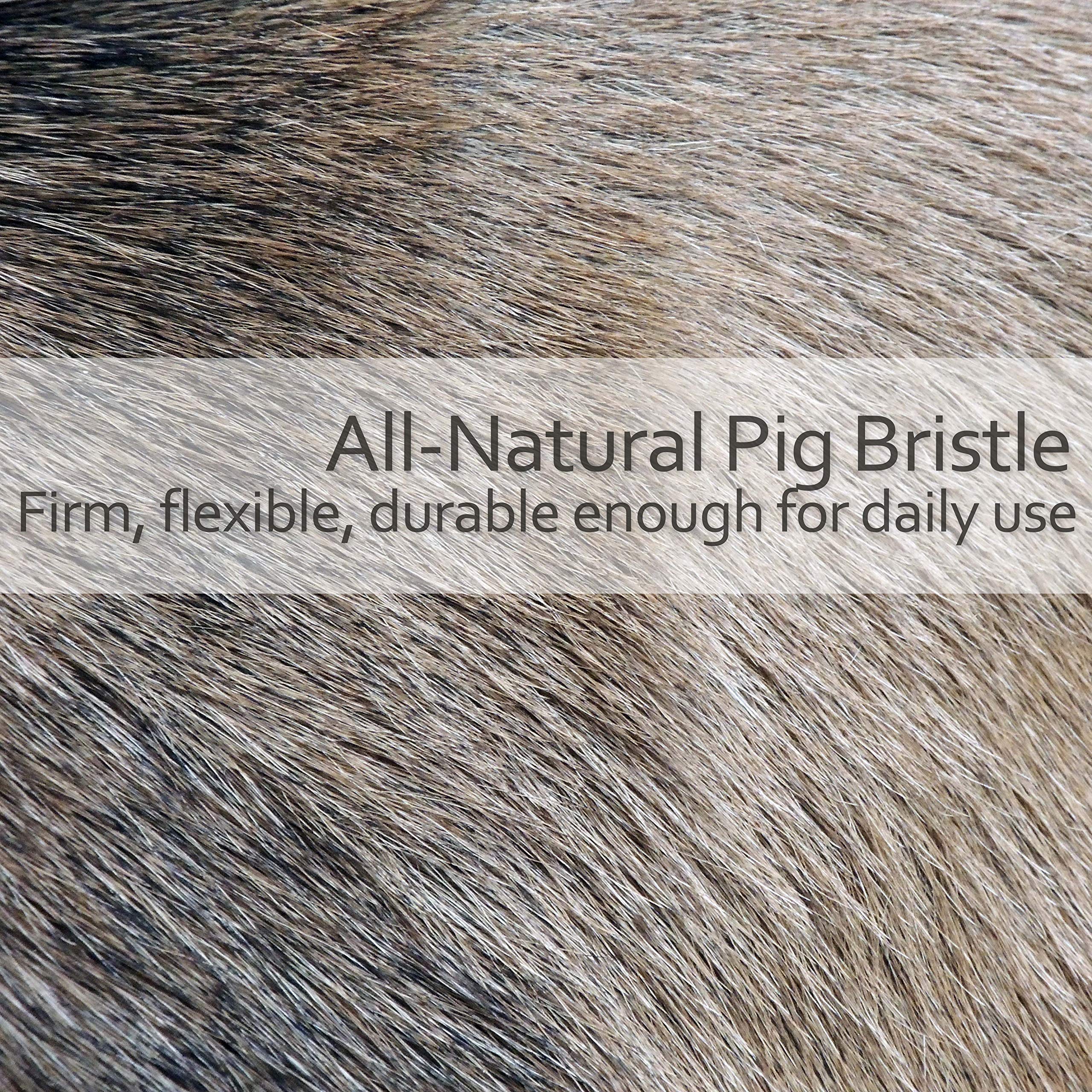 REDECKER Goat Hair/Natural Pig Bristle Laptop Brush with Oiled Beechwood Handle, 3-Inches - German Goat Hair Laptop Brush