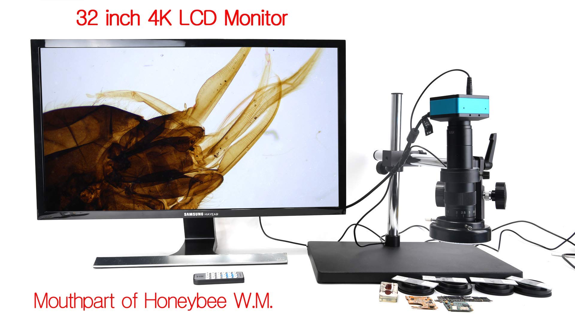 HAYEAR 4K UDH 2160P 1080P HDMI USB Industrial Microscope Camera for Machine PCB Board CPU Repair Soldering;PC Support Windows/Mac/Linux System
