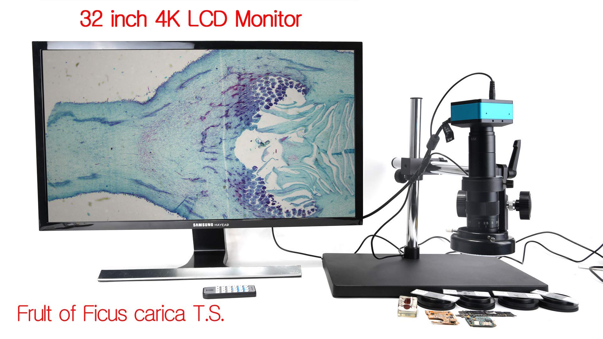 HAYEAR 4K UDH 2160P 1080P HDMI USB Industrial Microscope Camera for Machine PCB Board CPU Repair Soldering;PC Support Windows/Mac/Linux System