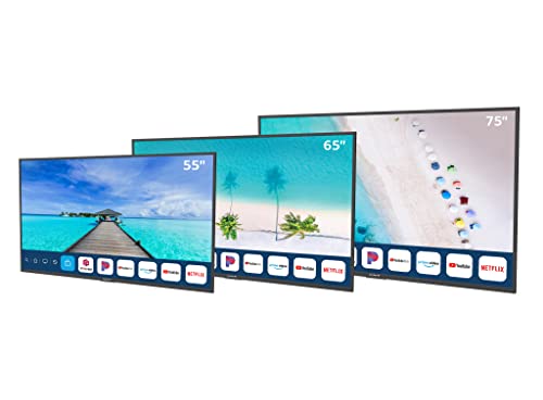 Peerless-AV 55" Neptune Partial Sun 4K HDR Outdoor Smart TV w/Free Outdoor Tilting Wall Mount (WPTV553)