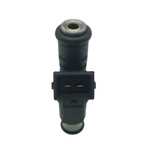 AYJERY 6 PCS Car For Peugeot Old 307/Picasso/Senna 2.0L Fuel Injector Nozzle 1984E2,01F003A Reliable and durable