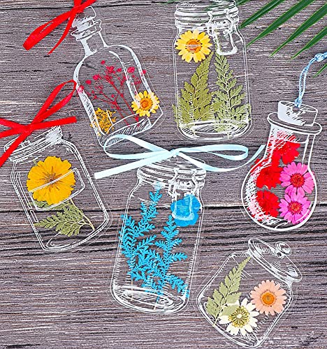 Dried Flower Bookmarks Set, DIY Bookmarks, Transparent Dried Flower Bookmarks, Beautiful DIY Dried Flower Bookmark, Flower Bookmarks Maker (A)