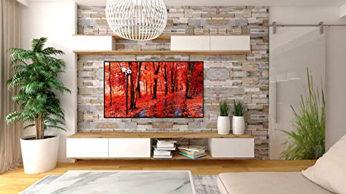 Hisense 58R6E3 58-Inch Model 2020 4K Roku Smart TV LED Compatibility with Google Assistant and Alexa, Motion Rate 120, HDR10, DTS Studio Sound