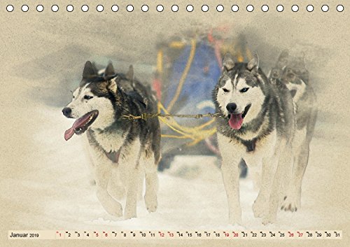 Schlittenhunde 2019 (Tischkalender 2019 DIN A5 quer): Der Kalender ist im kunstvollen Aquarell-Stil gehalten, so dass jedes einzelne Bild einem kleinen Kunstwerk gleicht. (Monatskalender, 14 Seiten )