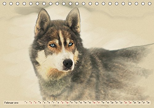 Schlittenhunde 2019 (Tischkalender 2019 DIN A5 quer): Der Kalender ist im kunstvollen Aquarell-Stil gehalten, so dass jedes einzelne Bild einem kleinen Kunstwerk gleicht. (Monatskalender, 14 Seiten )
