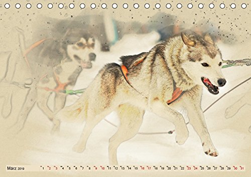 Schlittenhunde 2019 (Tischkalender 2019 DIN A5 quer): Der Kalender ist im kunstvollen Aquarell-Stil gehalten, so dass jedes einzelne Bild einem kleinen Kunstwerk gleicht. (Monatskalender, 14 Seiten )