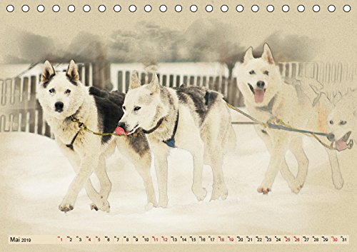 Schlittenhunde 2019 (Tischkalender 2019 DIN A5 quer): Der Kalender ist im kunstvollen Aquarell-Stil gehalten, so dass jedes einzelne Bild einem kleinen Kunstwerk gleicht. (Monatskalender, 14 Seiten )