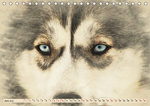 Schlittenhunde 2019 (Tischkalender 2019 DIN A5 quer): Der Kalender ist im kunstvollen Aquarell-Stil gehalten, so dass jedes einzelne Bild einem kleinen Kunstwerk gleicht. (Monatskalender, 14 Seiten )