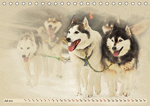 Schlittenhunde 2019 (Tischkalender 2019 DIN A5 quer): Der Kalender ist im kunstvollen Aquarell-Stil gehalten, so dass jedes einzelne Bild einem kleinen Kunstwerk gleicht. (Monatskalender, 14 Seiten )