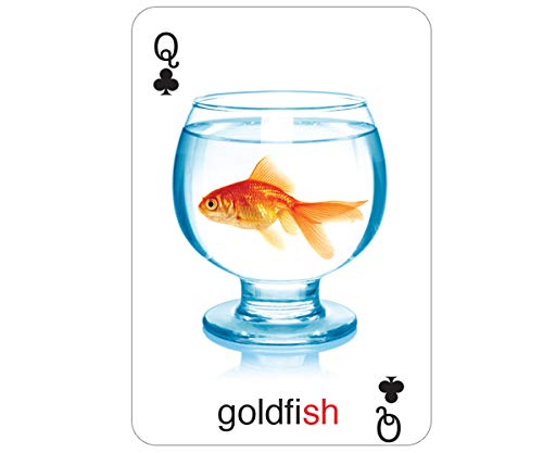 Super Duper Publications | Tiny Talk Articulation and Language SH Sound Photo Flash Cards | Educational Resource for Children