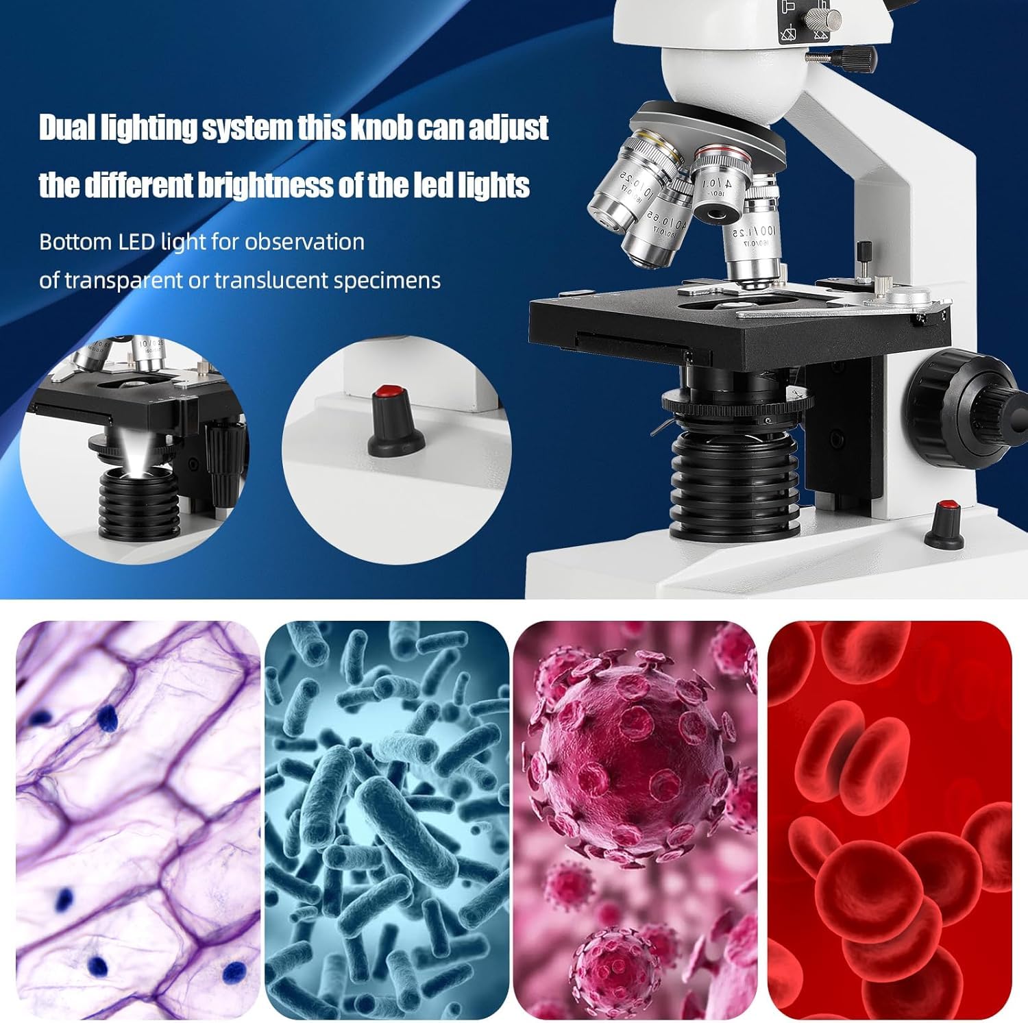 40X-2000X Compound monocular Microscope with Microscope Slide Set, Cell Phone Adapter, Dual LED Illumination Powerful School Home Education biomicroscope, 2MP USB Camera