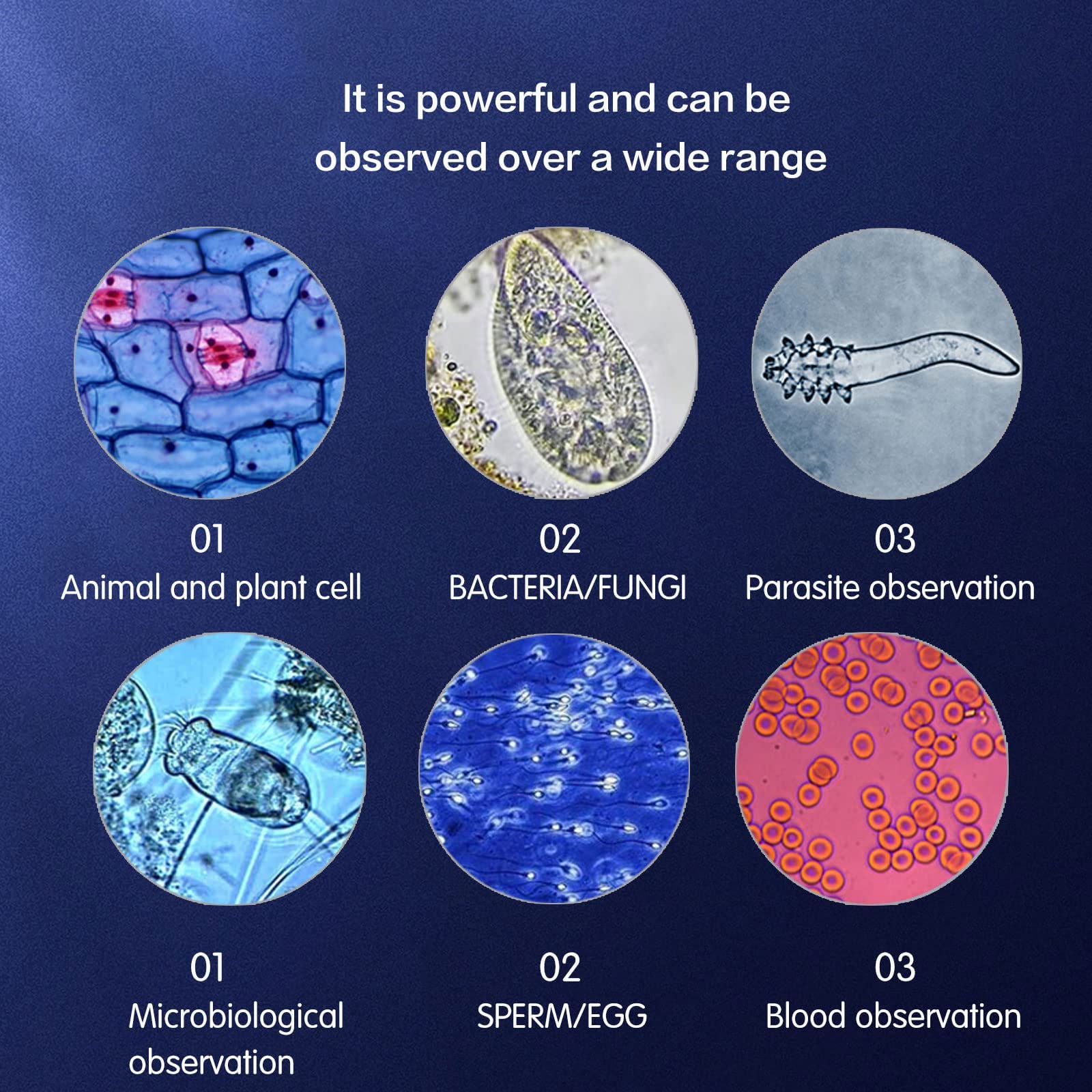 40X-2000X Compound monocular Microscope with Microscope Slide Set, Cell Phone Adapter, Dual LED Illumination Powerful School Home Education biomicroscope, 2MP USB Camera