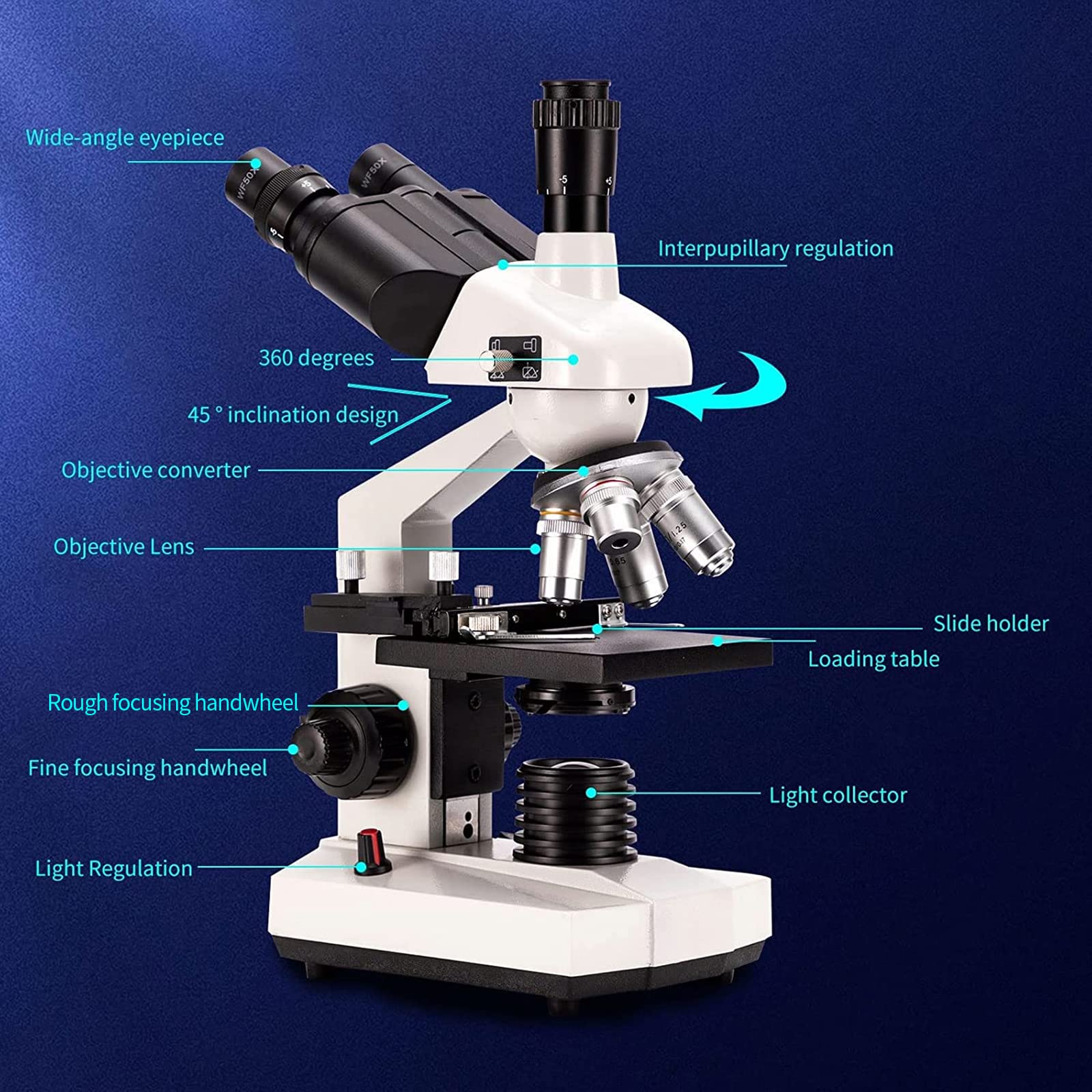 40X-2000X Compound monocular Microscope with Microscope Slide Set, Cell Phone Adapter, Dual LED Illumination Powerful School Home Education biomicroscope, 2MP USB Camera