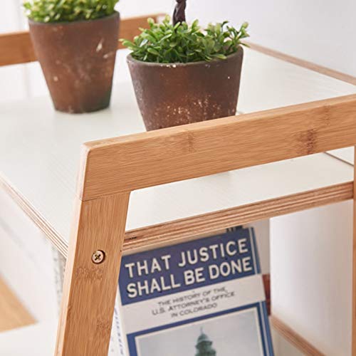 HIHELO Book Case 3 Tier Shelf Bookshelf Accessory Storage Shelf Printer Stand Trapezoidal Flower Plant Frame,51cm×45cm×80.5cm Bookshelves (Color : Gold)