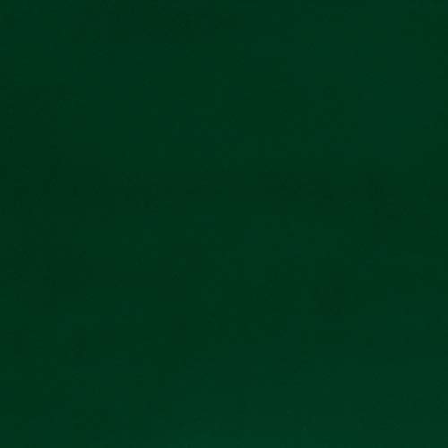 RSH Décor Outdoor Single Tempotest Foam Adirondack Chair Cushion Weather Resistant, (Classic Hunter Green)