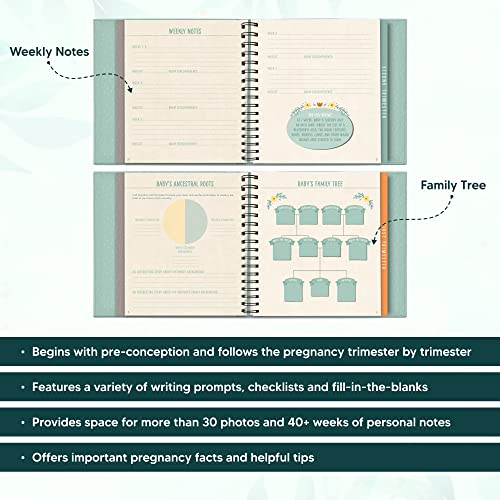 Guided Pregnancy Journal by Studio Oh! - Bump for Joy - 9" x 9" - Beautifully Illustrated Hardcover Journal with Storage Pockets Creates a Keepsake of Maternity Memories