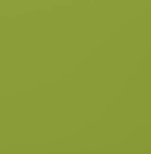 RSH Décor Outdoor Tempotest Single Tufted Adirondack Chair Seat Cushion Weather Resistant, (Classic Ginko Green)