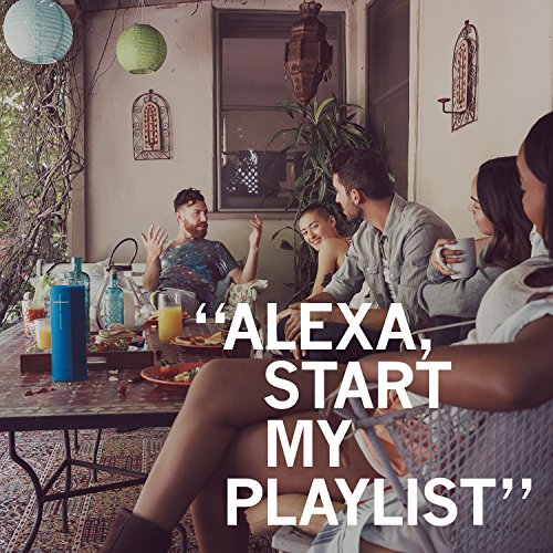 Ultimate Ears MEGABLAST Portable Waterproof Wi-Fi and Bluetooth Speaker with Hands-Free Amazon Alexa Voice Control - Blue Steel