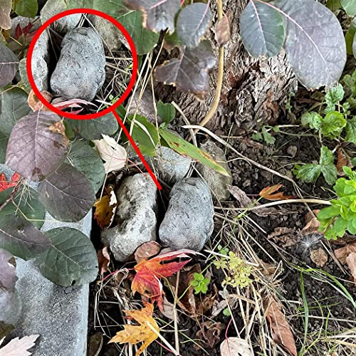 PANGAEA Key Hider Fake Rock, Weatherproof and Safe for Spare Keys, Real Look and Feel Stone, Garden, Outdoor, Geocaching (Type-B Black, 1 Pack)