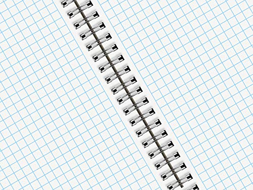 HULYTRAAT Large Graph Ruled Wirebound Spiral Notebook, 8.5 x 11 Inches, 4 X 4 Quad Ruled (4 sq/in) Paper Pad, Premium 100gsm Ivory White Acid-Free Paper, 128 Squared/Grid Pages per Book (Pack of 2)