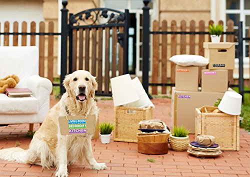 600 Home Moving Labels for 3 Bedroom House. 50 labels per room, 12 Color Coded Label Rolls. FRAGILE label included. For Moving boxes, Moving Supplies, Wardrobe Boxes, Apartment sticker