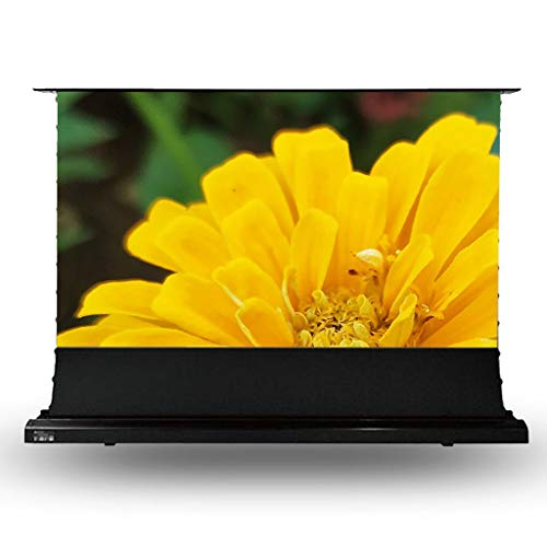 VIBY 4K 16:9 Electric Motorized Floor Rising Projector Projection Screen Black Crystal ALR Screen for Long Throw Projector (Size : 150 inch)