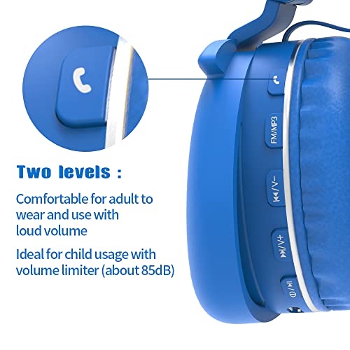YLFASHION Kids Bluetooth Headphones with Microphone, Cartoon Monsters Wireless Over-Ear Headphones for Boys Girls, Foldable Stereo Headset for Children, School, iPad, Tablet (Steven)