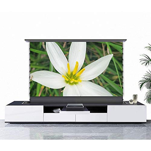 WSSBK 92 inch 16:9 Floor Rising Electric Anti Light Motorized Projection Screen for Short Throw Laser Projector