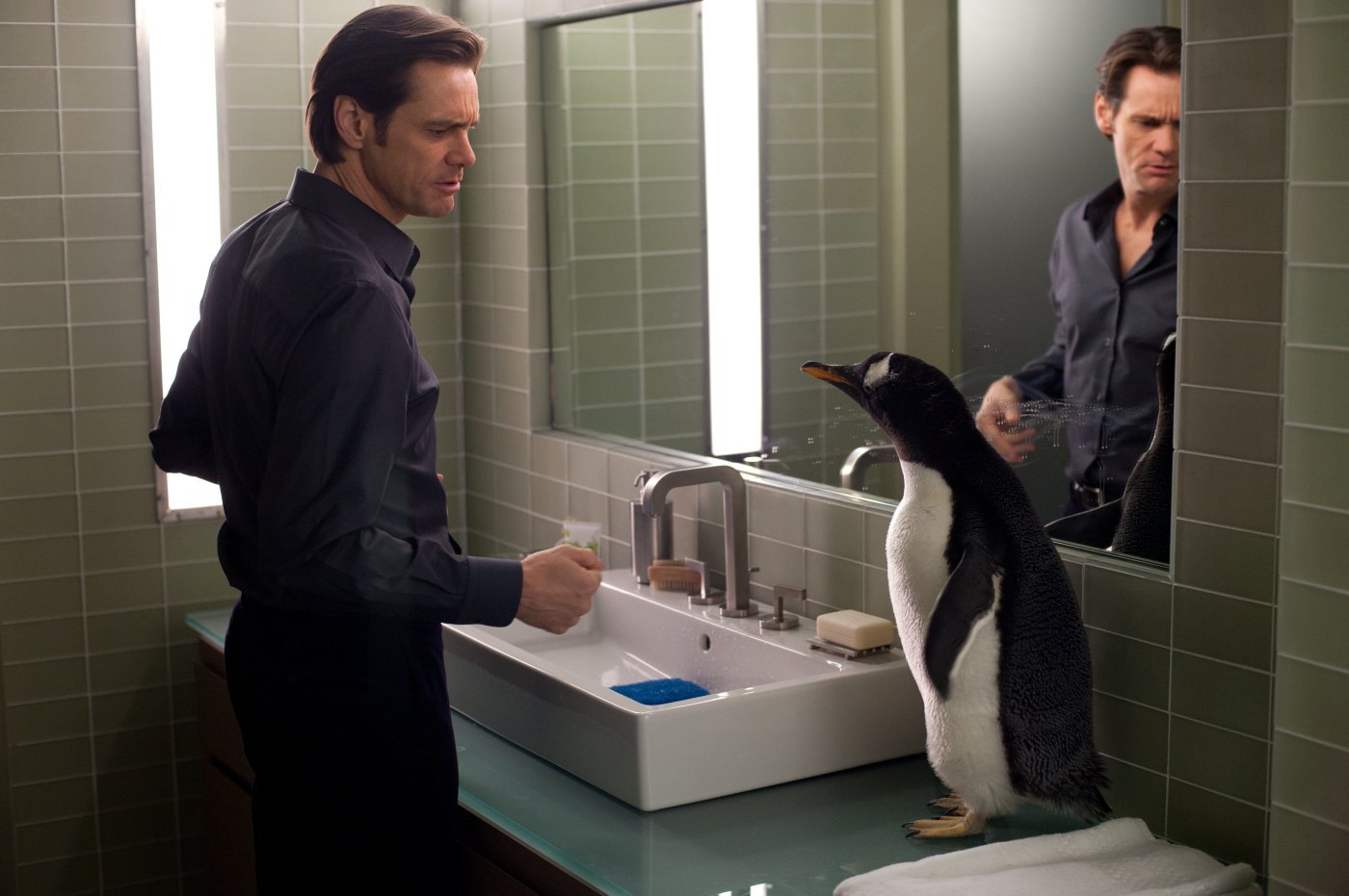 Mr. Poppers Pinguine