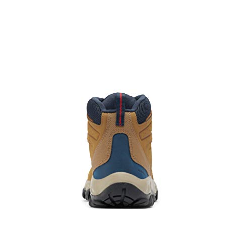 Columbia mens Newton Ridge Plus Ii Waterproof Boot Hiking Shoe, Light Brown/Red Velvet, 12 US