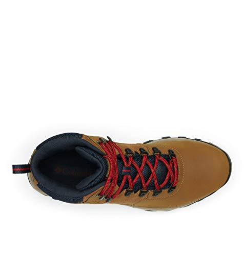 Columbia mens Newton Ridge Plus Ii Waterproof Boot Hiking Shoe, Light Brown/Red Velvet, 12 US