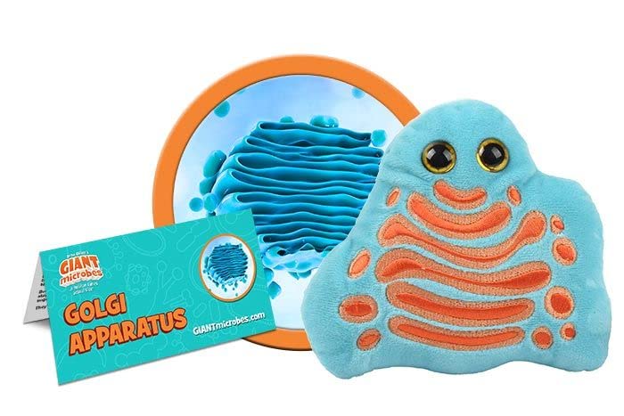 GIANTmicrobes Golgi Apparatus Plush – Learn About Cell Biology and Organelles with This Educational Gift for Family, Friends, Students, Educators, Scientists, and Anyone with a Healthy Sense of Humor