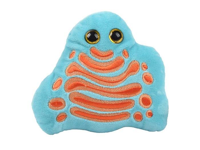 GIANTmicrobes Golgi Apparatus Plush – Learn About Cell Biology and Organelles with This Educational Gift for Family, Friends, Students, Educators, Scientists, and Anyone with a Healthy Sense of Humor