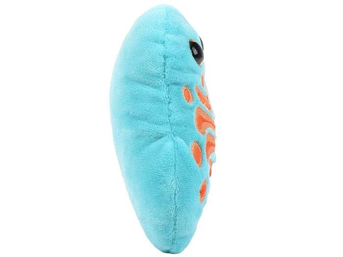 GIANTmicrobes Golgi Apparatus Plush – Learn About Cell Biology and Organelles with This Educational Gift for Family, Friends, Students, Educators, Scientists, and Anyone with a Healthy Sense of Humor