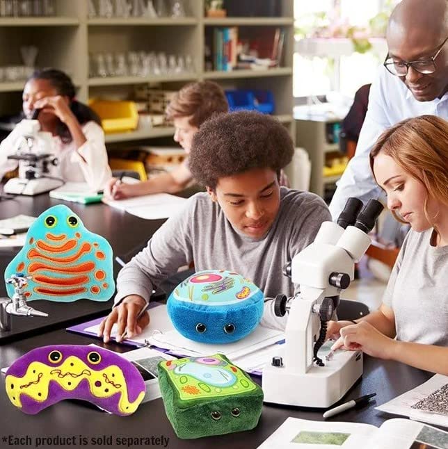GIANTmicrobes Golgi Apparatus Plush – Learn About Cell Biology and Organelles with This Educational Gift for Family, Friends, Students, Educators, Scientists, and Anyone with a Healthy Sense of Humor