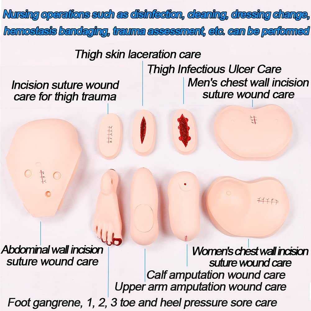 Nursing Training Manikin, Demonstration Human Manikin for Nursing Training, Training CPR Simulator, 170 cm Male & Female PVC Anatomical Mannequin, Body Care Simulator Model