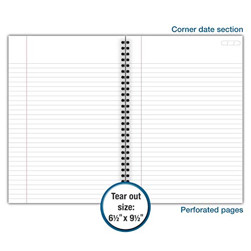 Cambridge Limited Business Notebook, Legal Ruled,6-5/8" x 9-1/2" Page Size, 80 Sheets , Wirebound, Gray (06672)