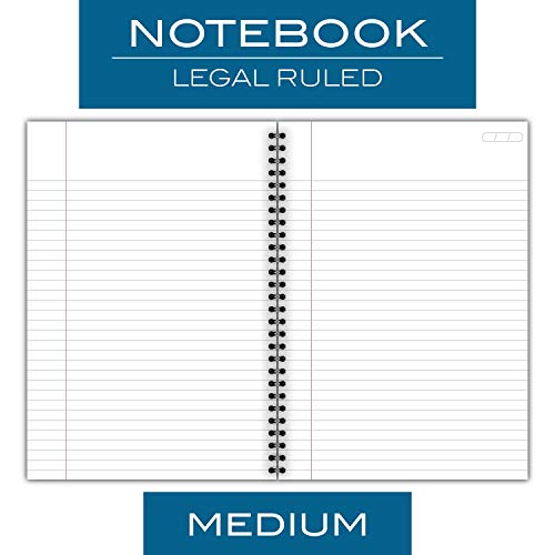 Cambridge Limited Business Notebook, Legal Ruled,6-5/8" x 9-1/2" Page Size, 80 Sheets , Wirebound, Gray (06672)