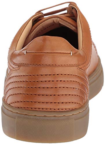 English Laundry Men's Milton Oxford, Brown, 11 Medium US