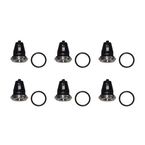 Check Valves + O-Rings (Kit# 62) for General Pump Series 69