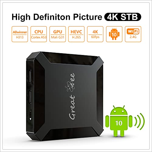 Great Bee Free for Life Android 10 Arabic TV Box for IPTV Quad Core Allwinner H313 1G 8G Smart TV Boxes