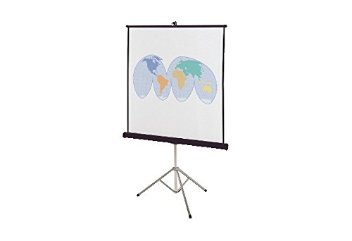Quartet Portable Tripod Projection Screen, 70 x 70 Inches, High-Resolution, Matte Surface (570S)