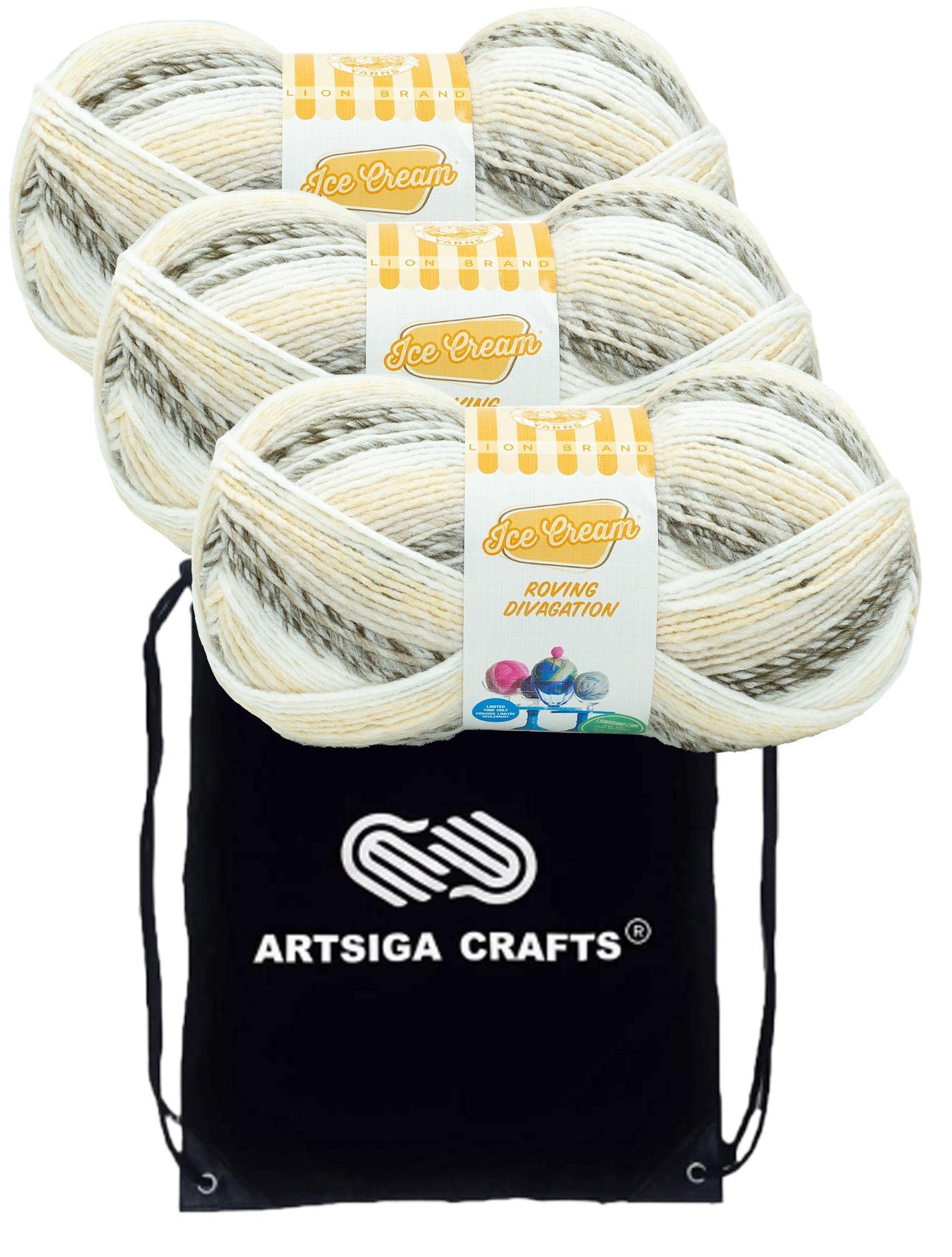 Lion Brand Yarn Ice Cream Roving Stripes Yarn Toasted Marshmallow 921-601 (3-Skein) Same Dyelot Worsted Medium #4 Soft Knitting Yarn 100% Acrylic with Knitting Project Bag