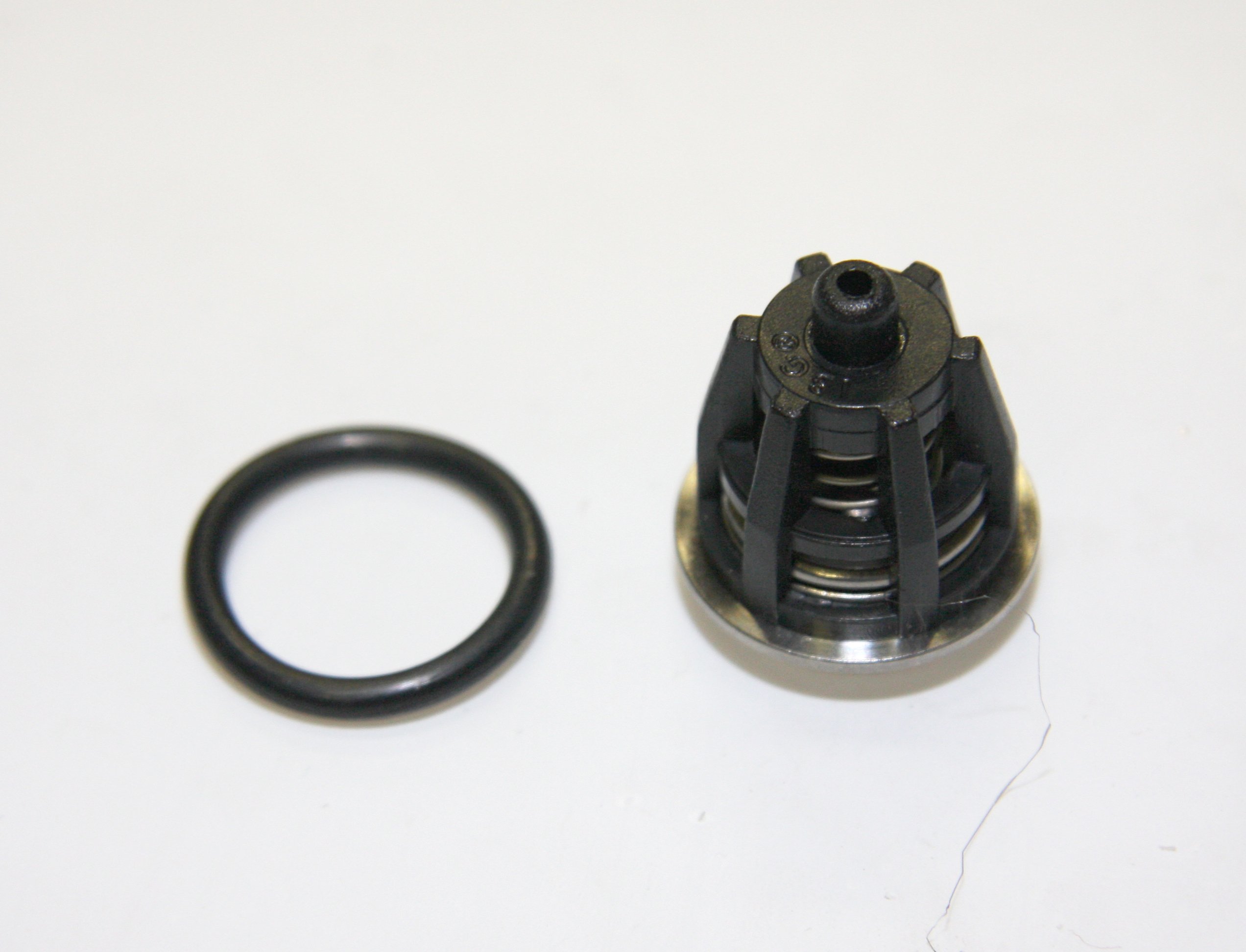 General Pump and Interpump Repair Kit 1 (Valves + O-rings)