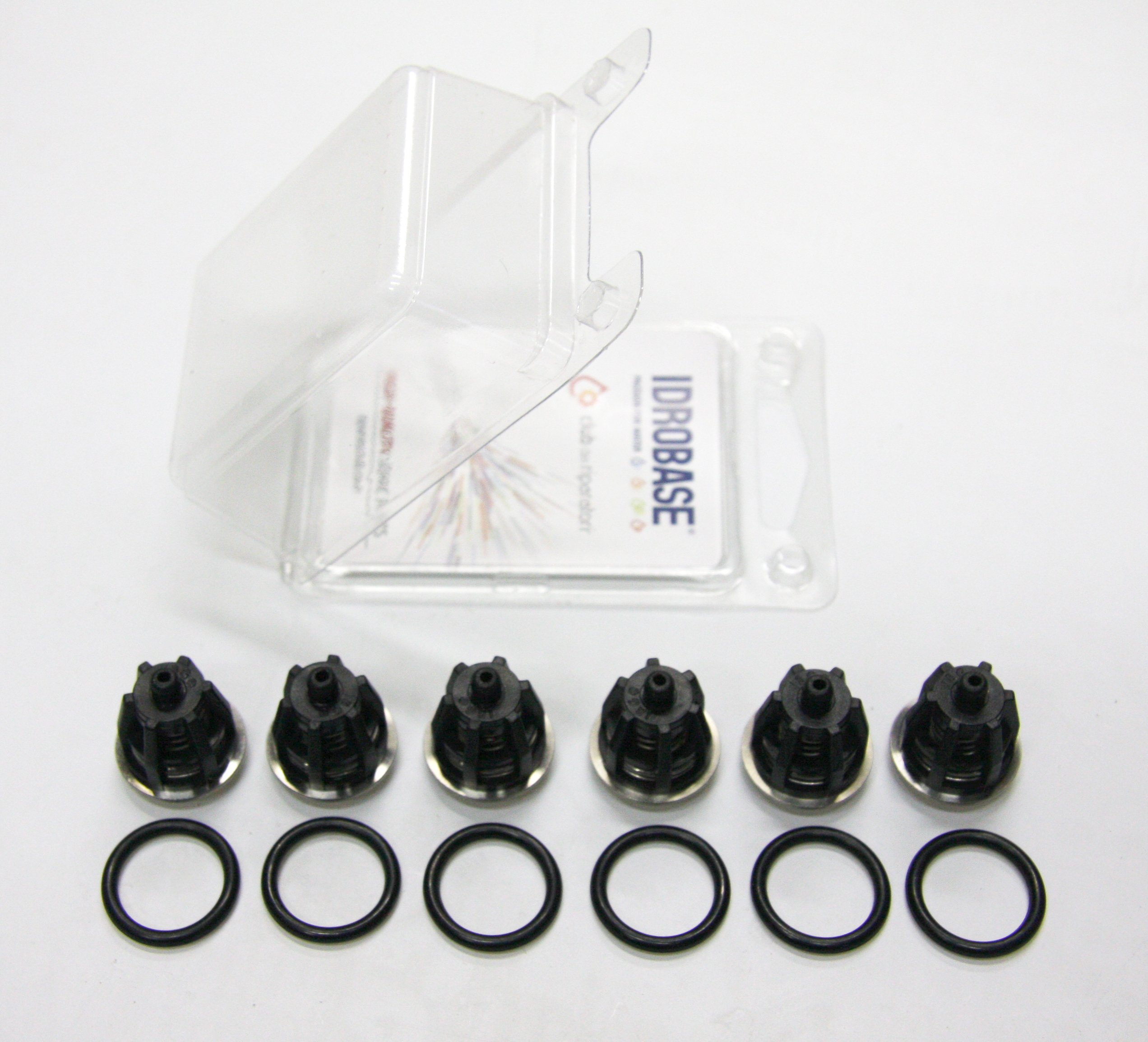 General Pump and Interpump Repair Kit 1 (Valves + O-rings)