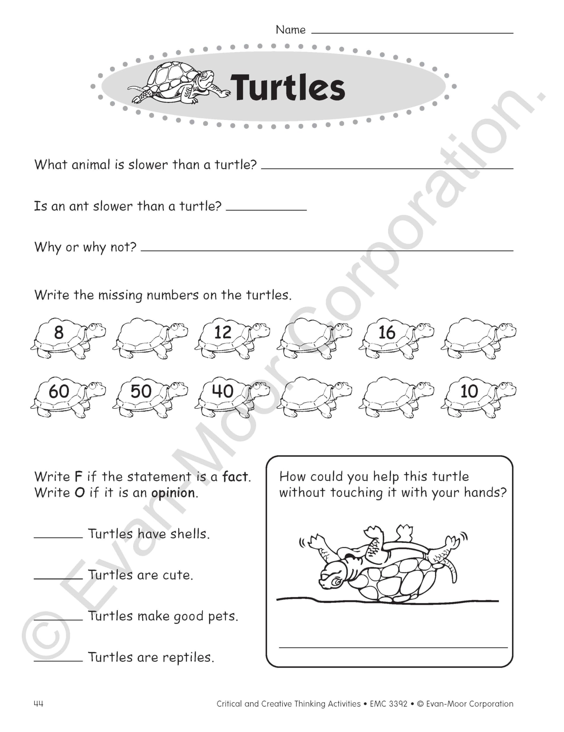 Evan-Moor Critical and Creative Thinking Activities Teacher's Resource Book, Grade 2