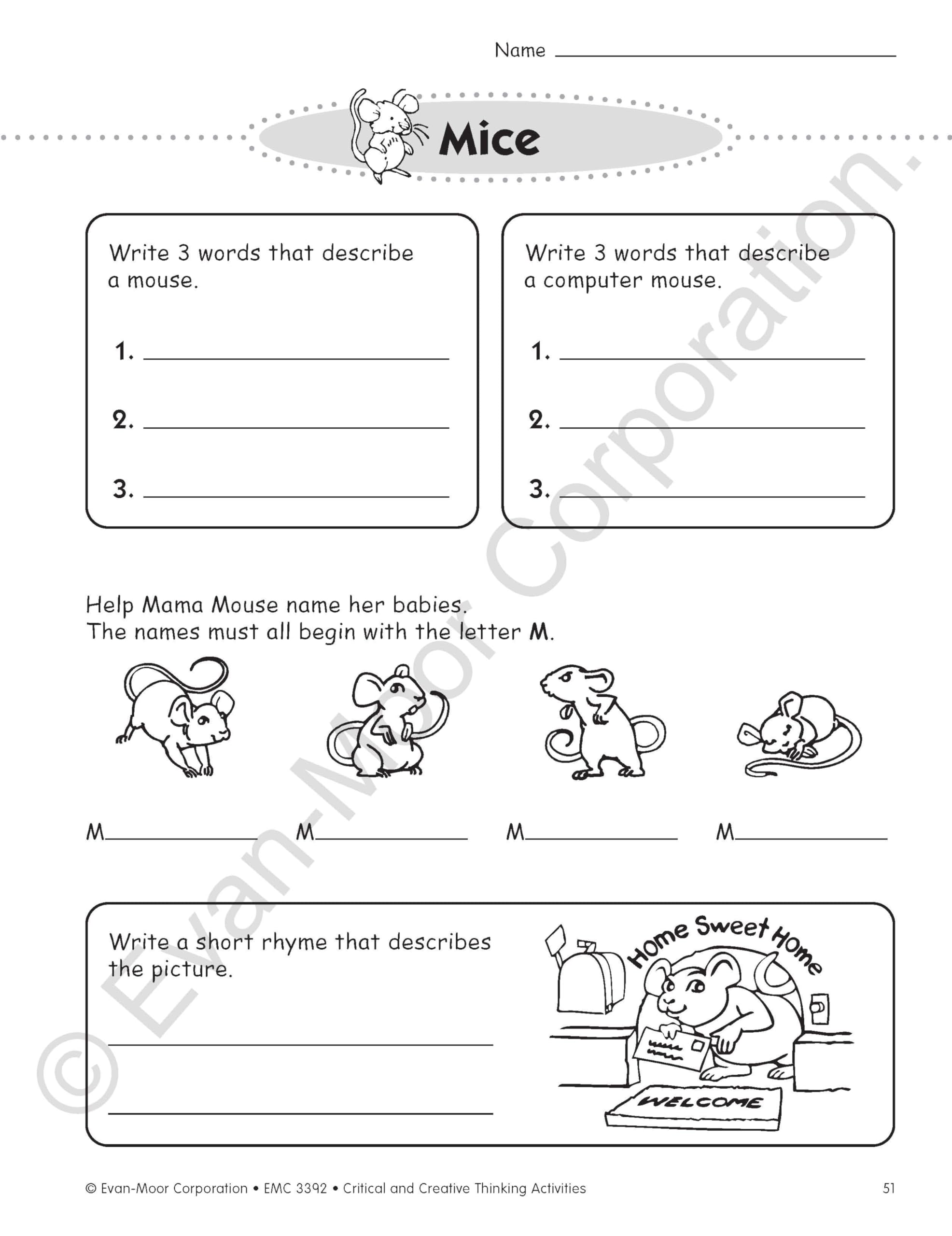 Evan-Moor Critical and Creative Thinking Activities Teacher's Resource Book, Grade 2