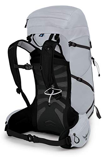 Osprey Tempest 30L Women's Hiking Backpack with Hipbelt, Aluminum Grey, WM/L