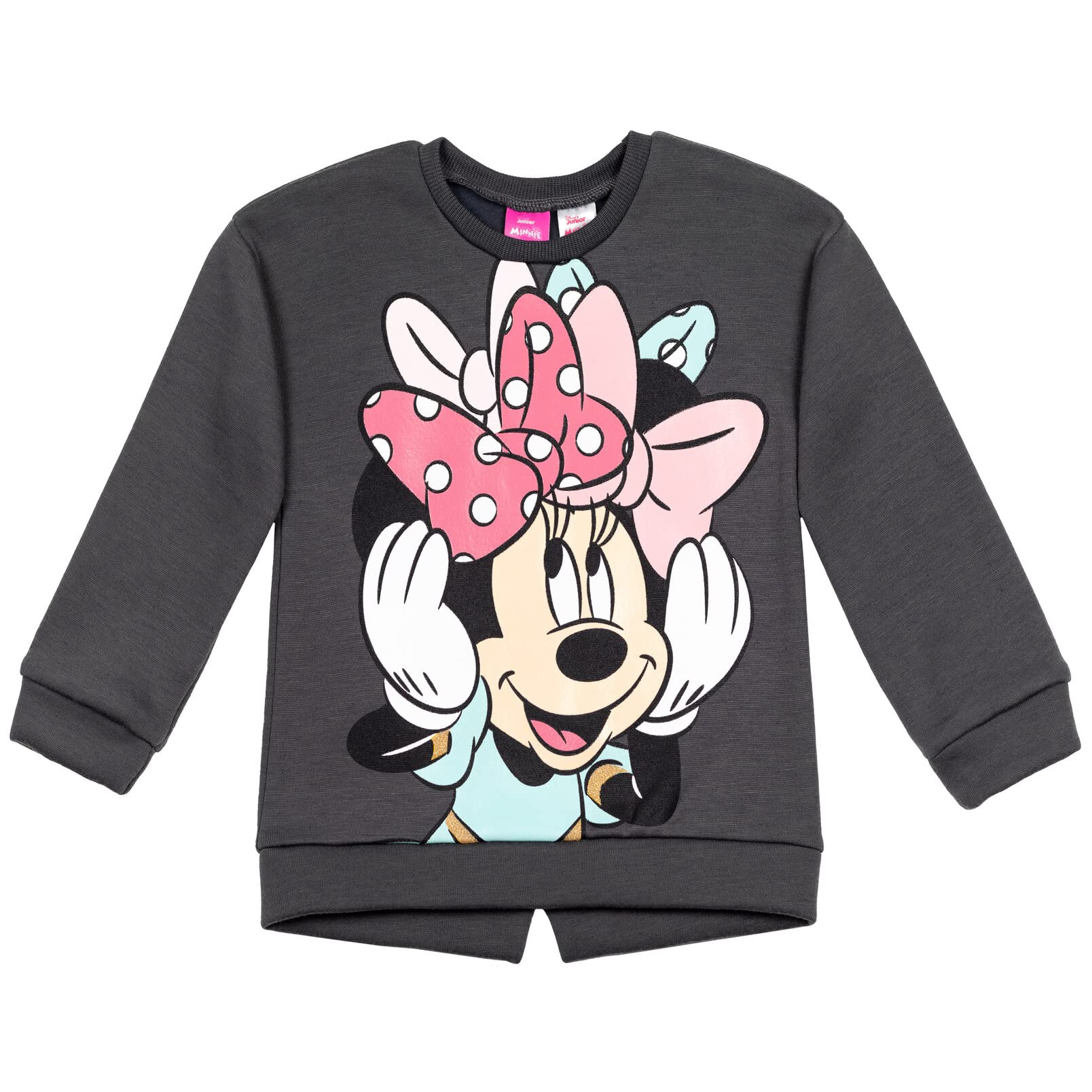 Disney Minnie Mouse Toddler Girls Fleece Pullover Sweatshirt Pants Set Gray 4T
